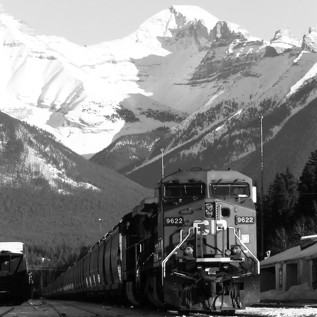 Canada 2030 Project | Research and Thinking About Canada's Future