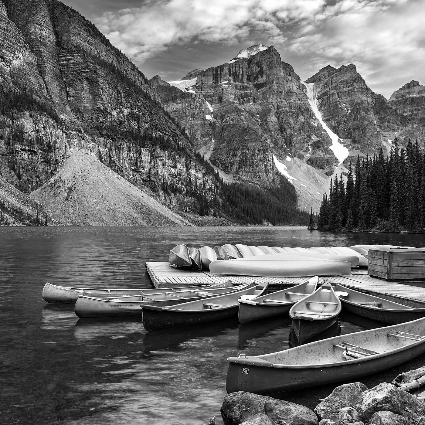 Canada 2030 Project | Research and Thinking About Canada's Future